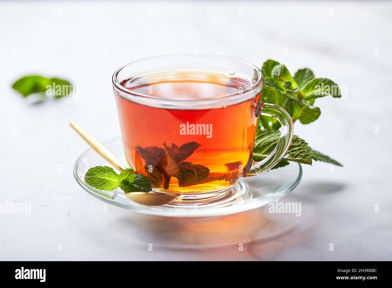 Peppermint tea in glass mug hi-res stock photography and images - Alamy