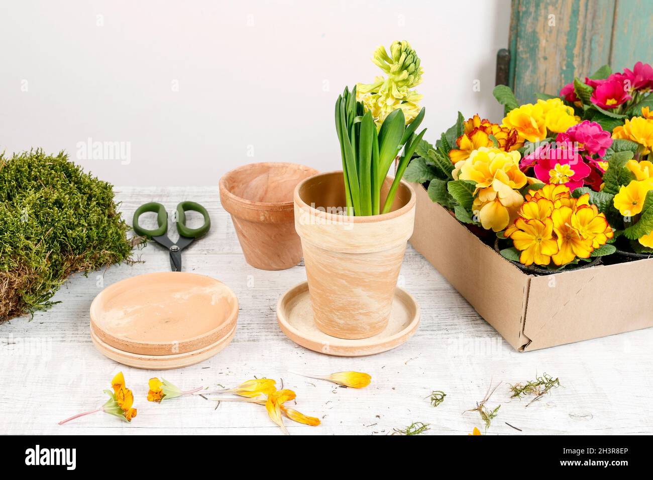 Florist workplace: colorful spring flowers and accessories. Garden ...