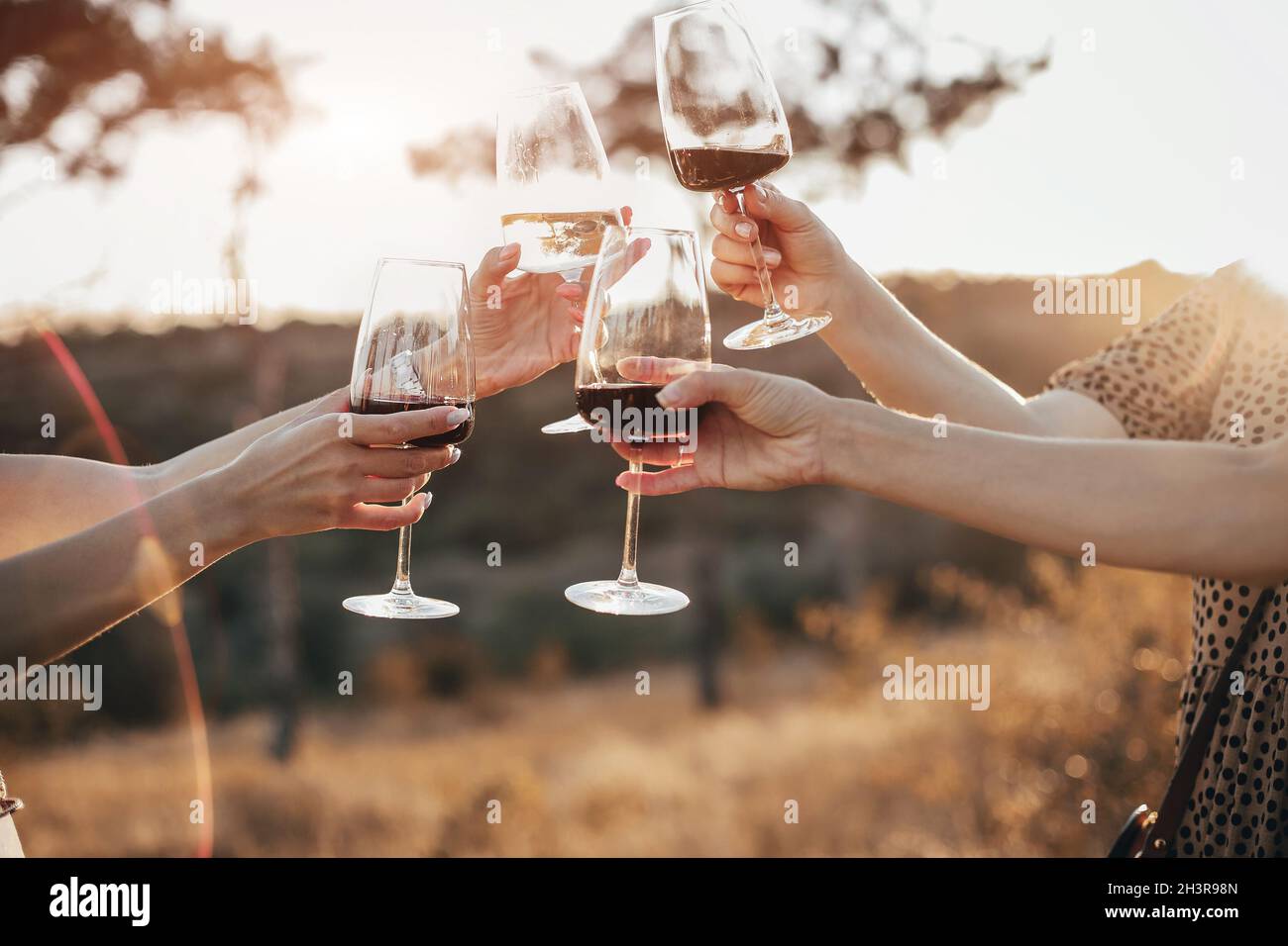 Women friends clinking glasses hi-res stock photography and images - Alamy