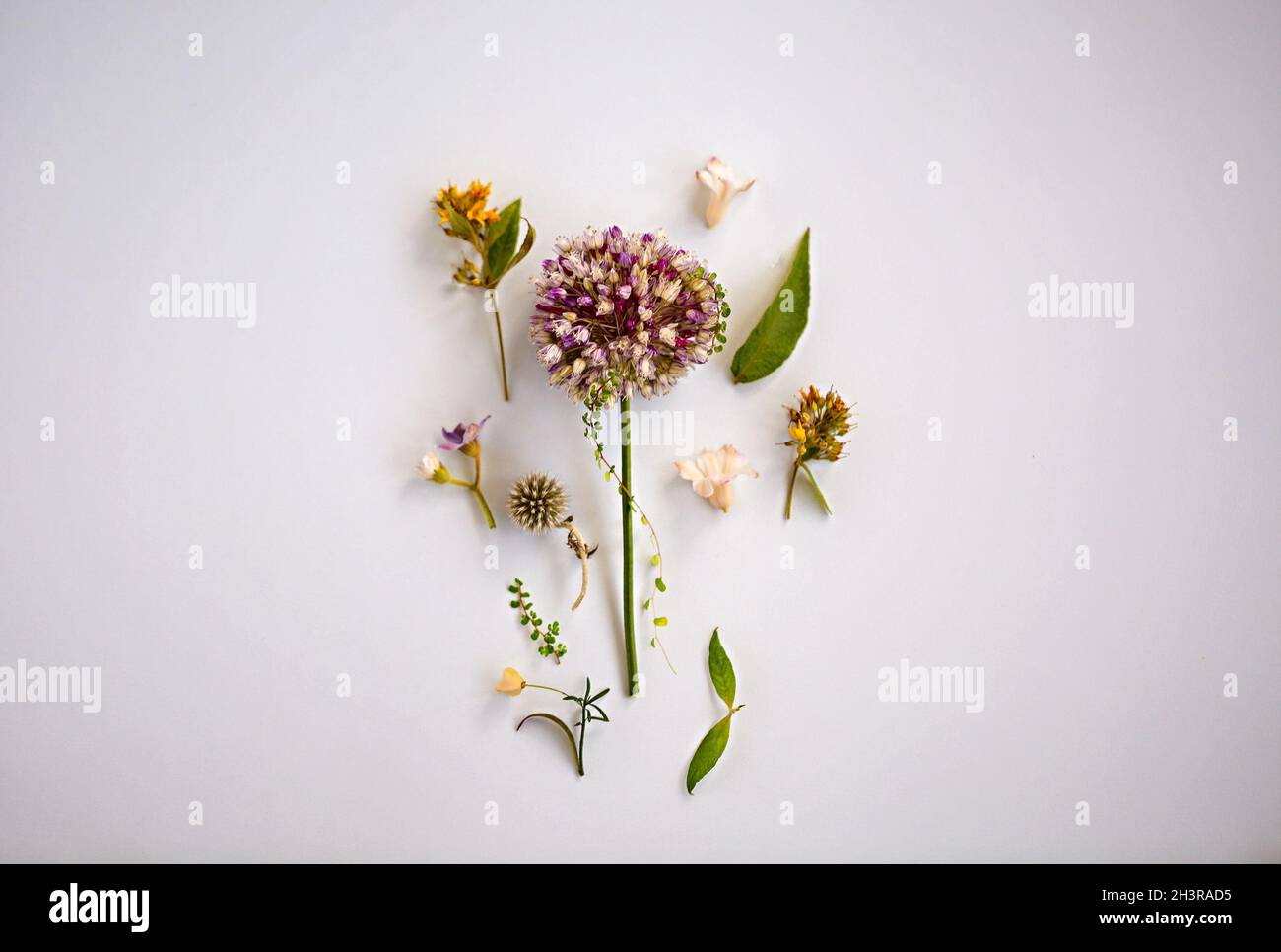 Oil from fragrant flowers hi-res stock photography and images - Alamy