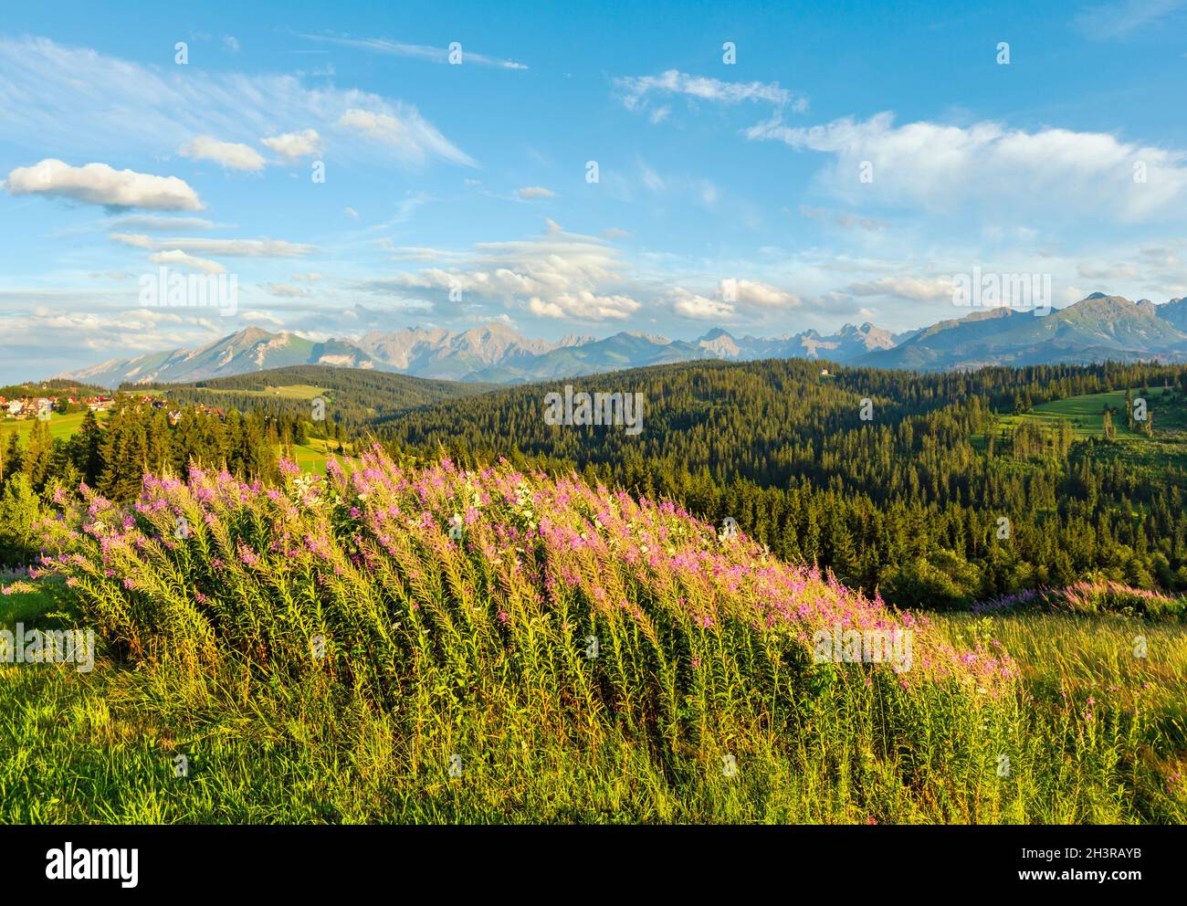 Summer mountain country view Stock Photo - Alamy
