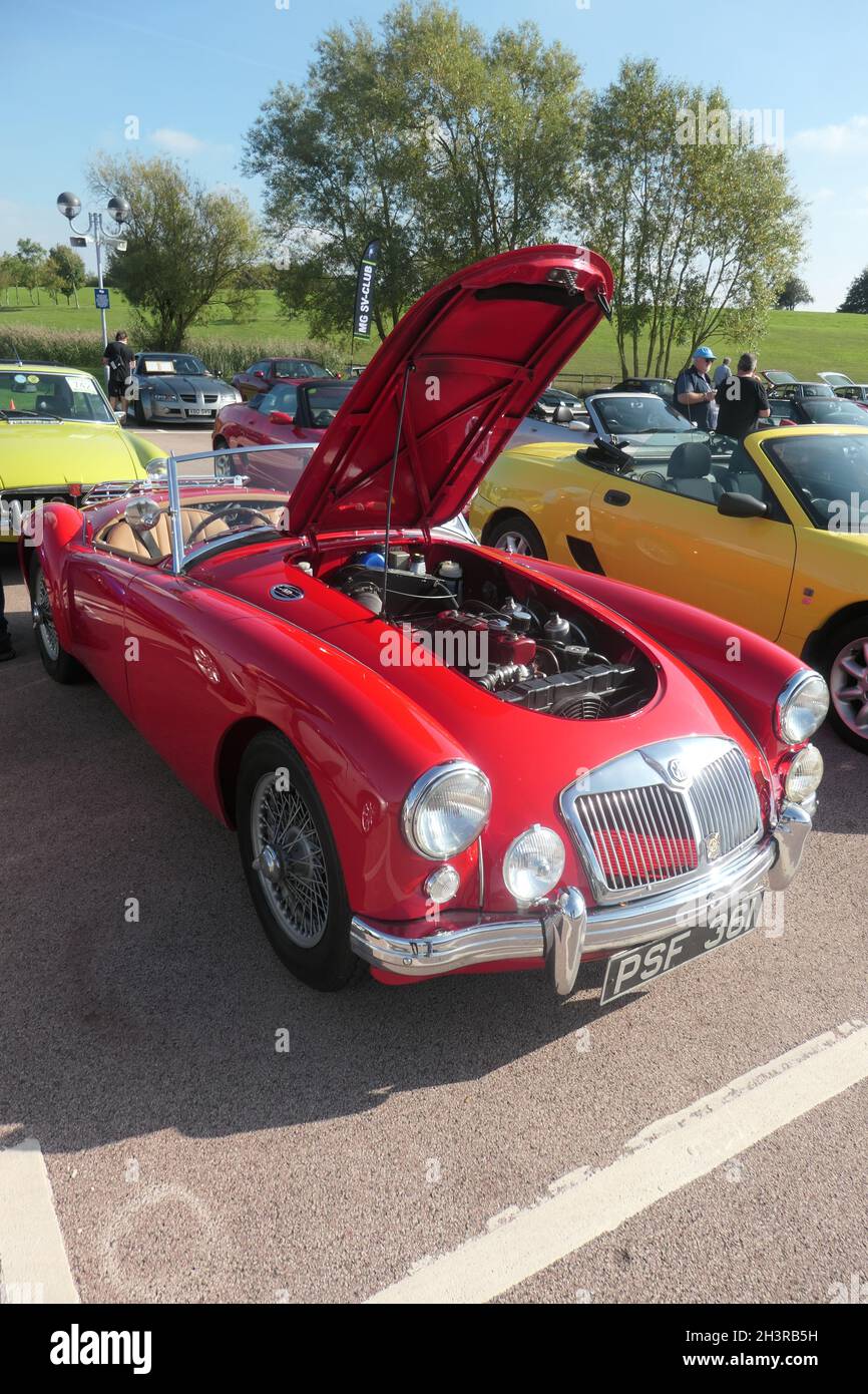 MG car rally at The British car museum Gaydon UK Stock Photo - Alamy