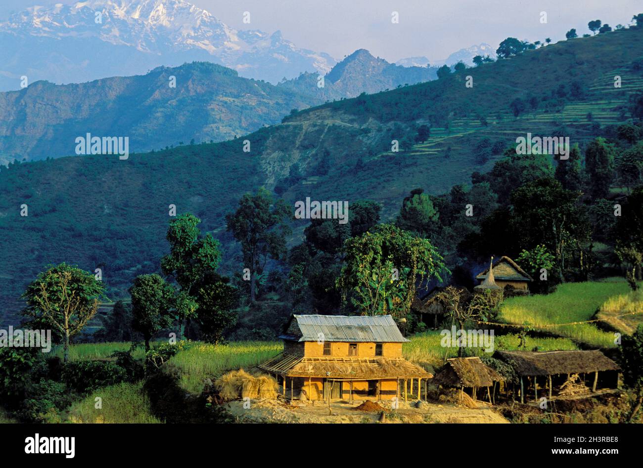 Chetri hi-res stock photography and images - Alamy