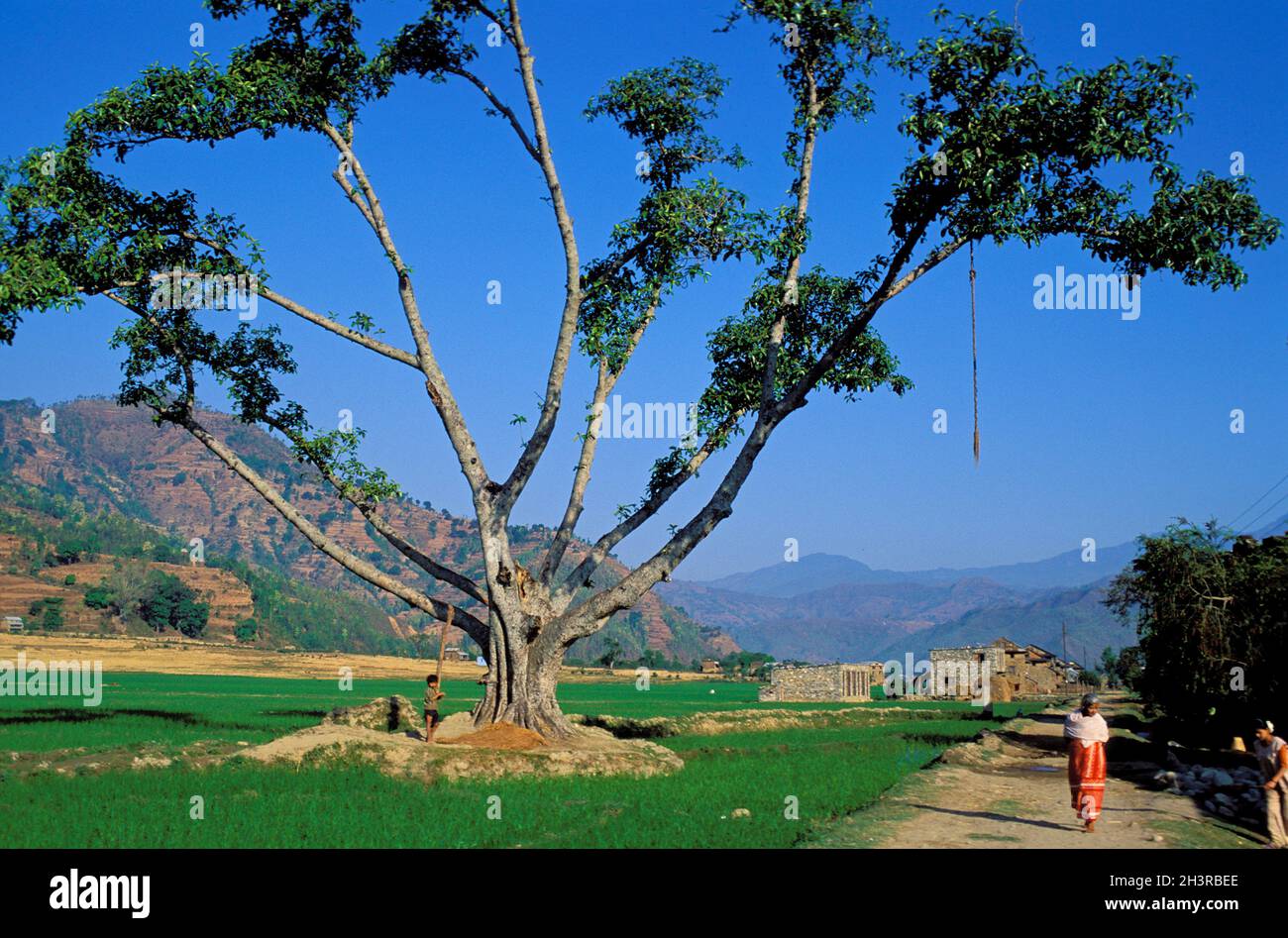 Trisuli region hi-res stock photography and images - Alamy