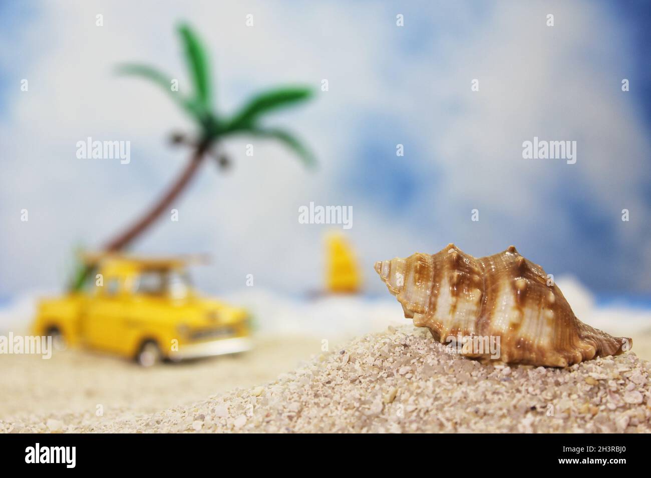 Seashell on Tropical Beach With Vintage Hot Rod Stock Photo - Alamy