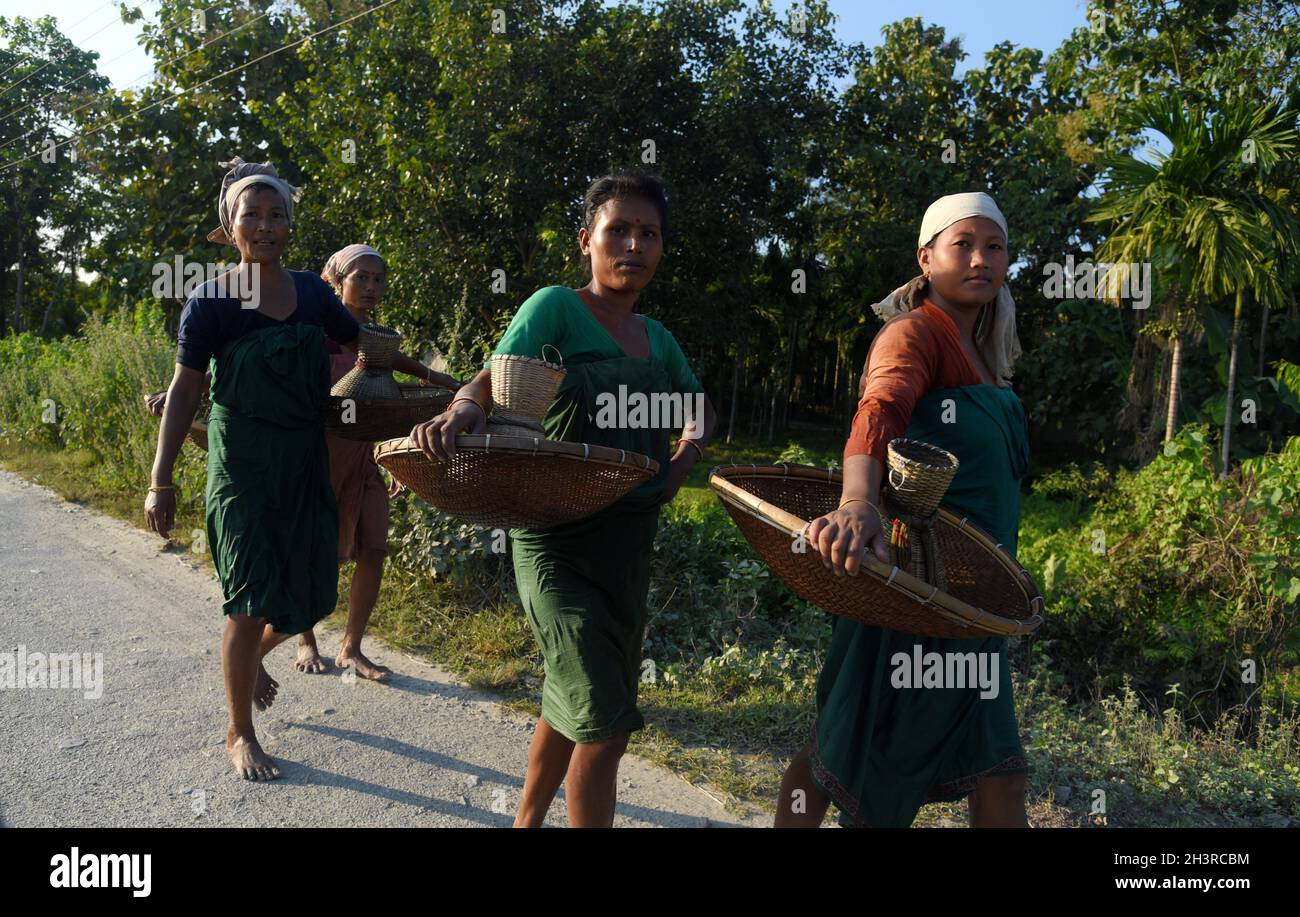 Guwahati, Guwahati, India. 29th Oct, 2021. Bodo tribal women carrying traditional fishing ...
