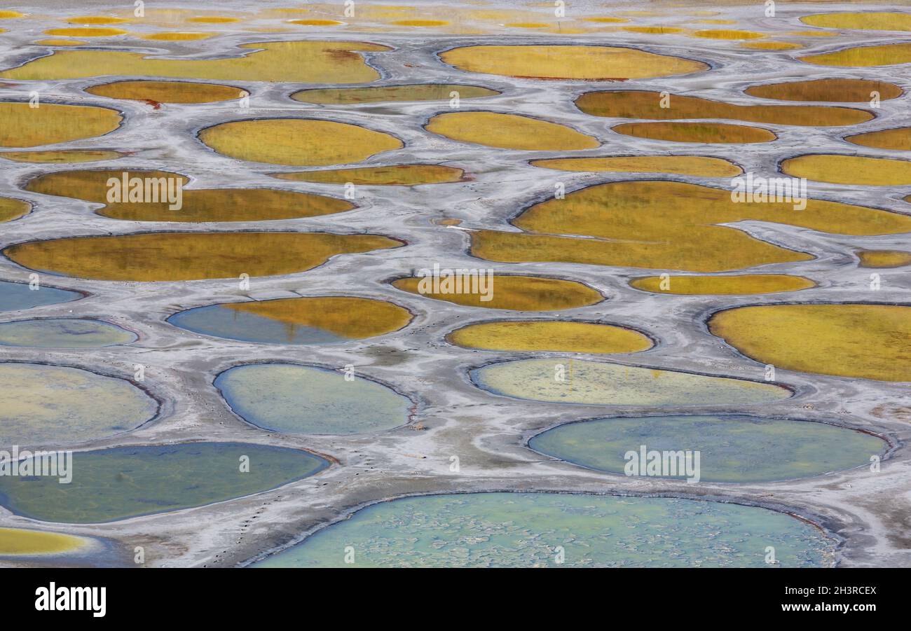 Spotted lake hi-res stock photography and images - Alamy