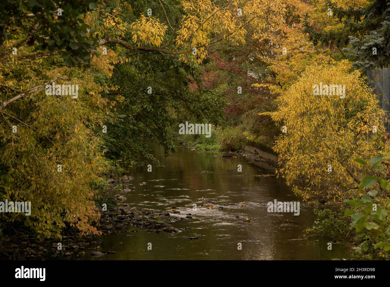Hessia germany hi-res stock photography and images - Alamy
