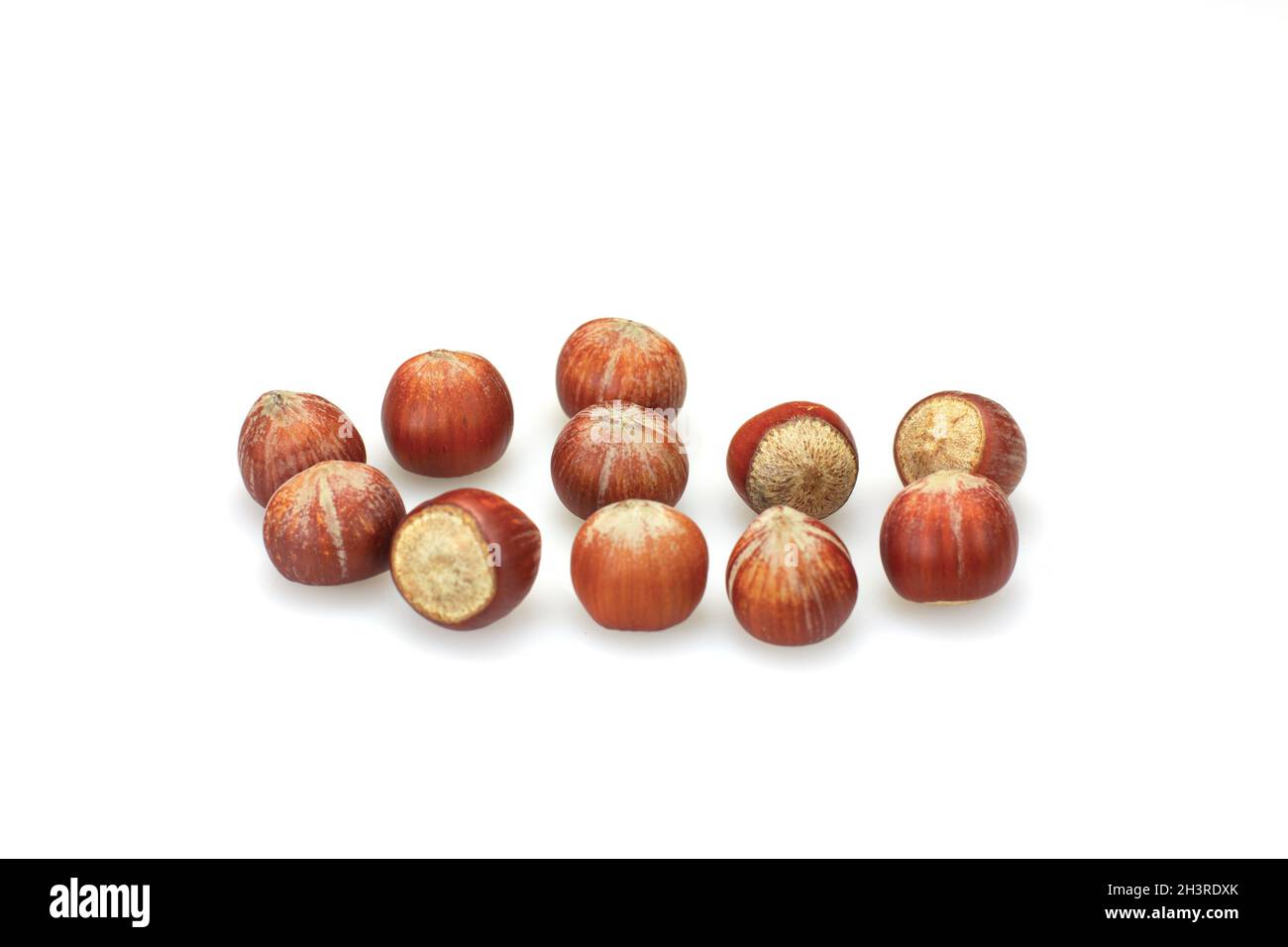 Hazel nut background Cut Out Stock Images & Pictures - Alamy