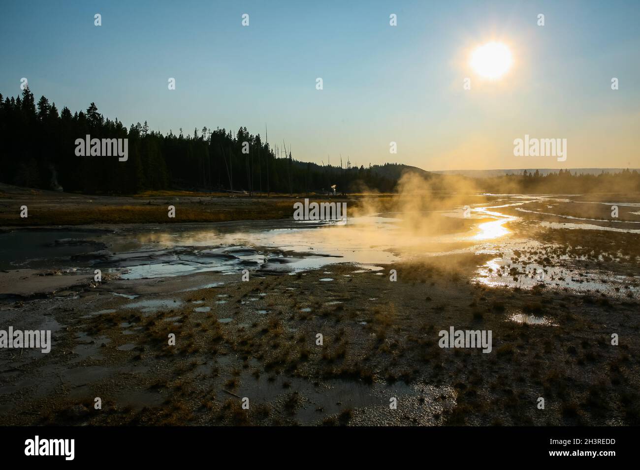 Landscapes of Yellowstone | Yellowstone landscape with famous fumaroles ...