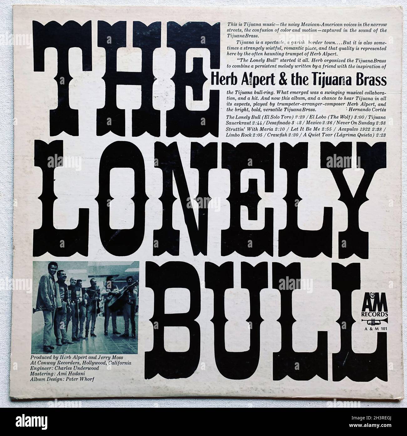 Lonely Bull Theme