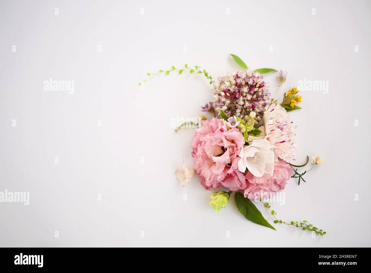 Natural composition of fresh flowers Stock Photo - Alamy