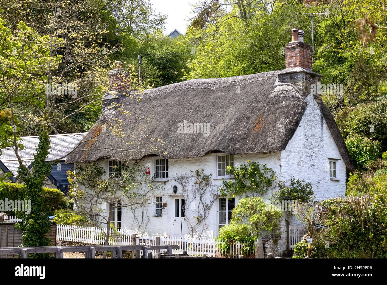 Cornwall thatched cottage roof hi-res stock photography and images - Alamy