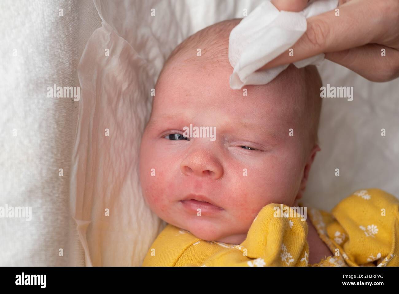 Hygiene procedures hi-res stock photography and images - Alamy