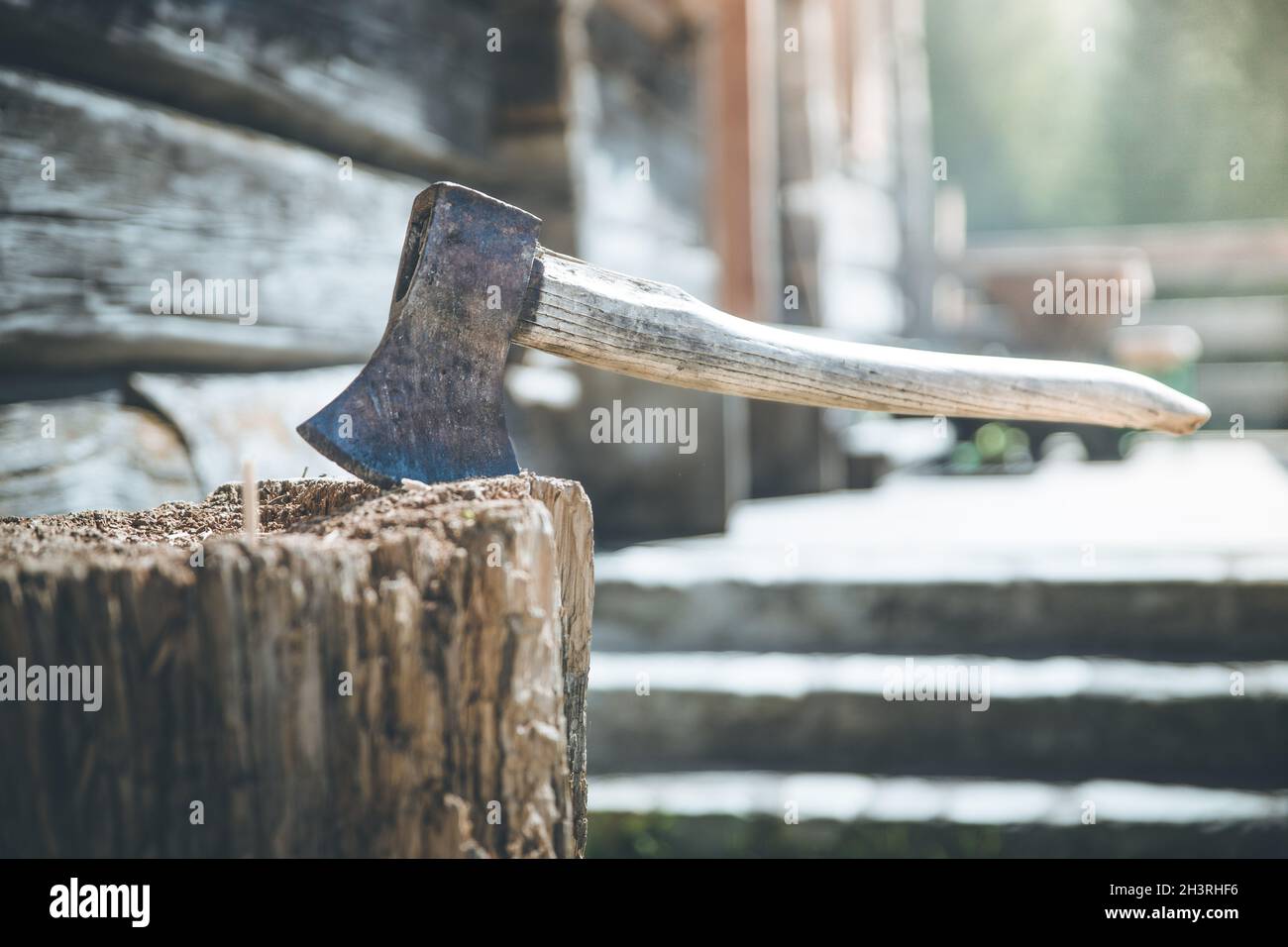 Getting wood for fire: axe attached to a tree trunk Stock Photo - Alamy