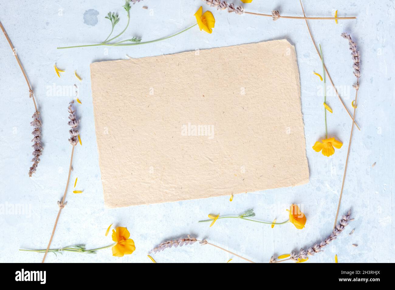 Brown craft paper with flowers, a stationery mockup for a birthday card ...