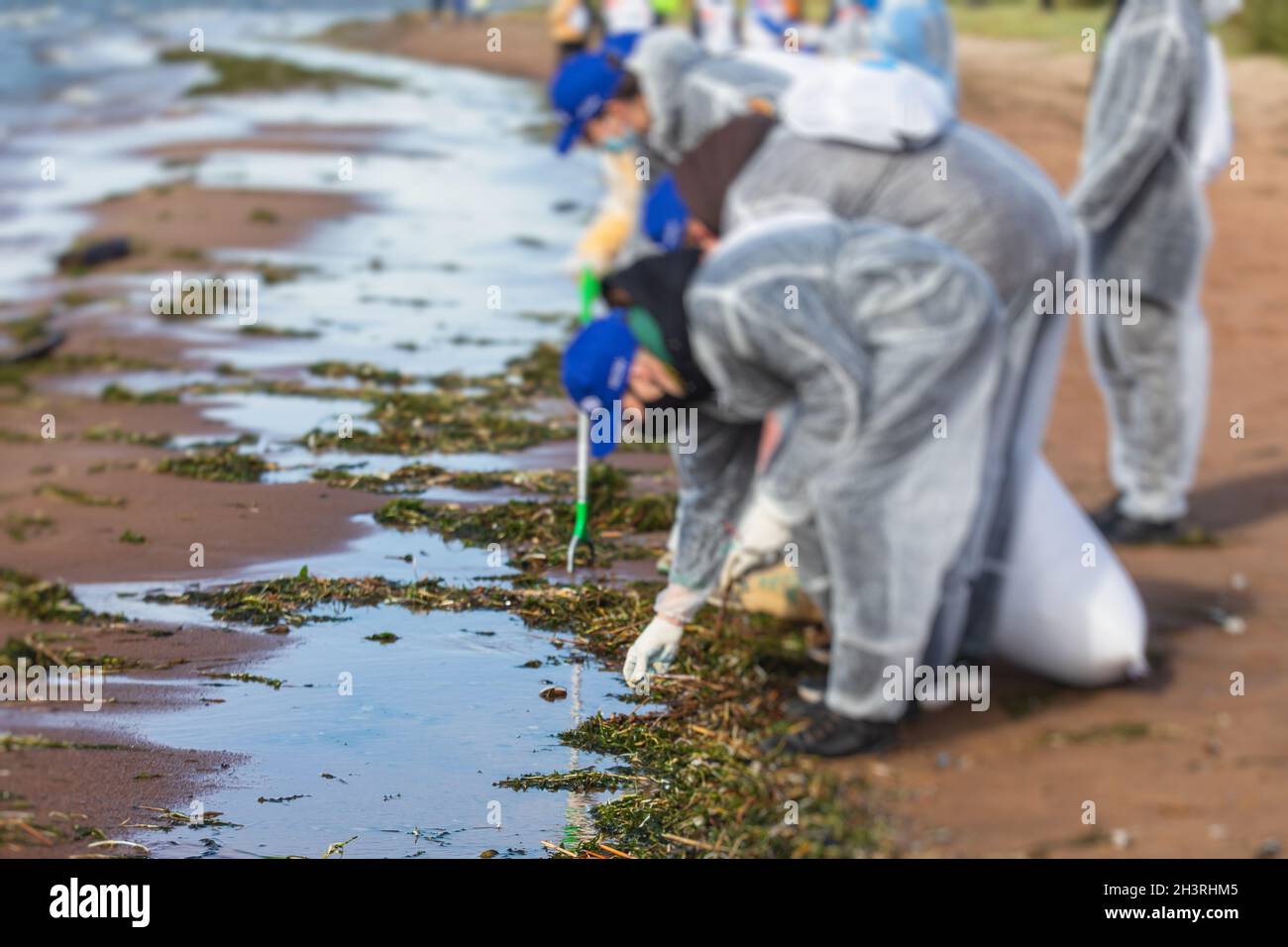 Process of cleaning up the shore beach line from litter garbage rubbish ...