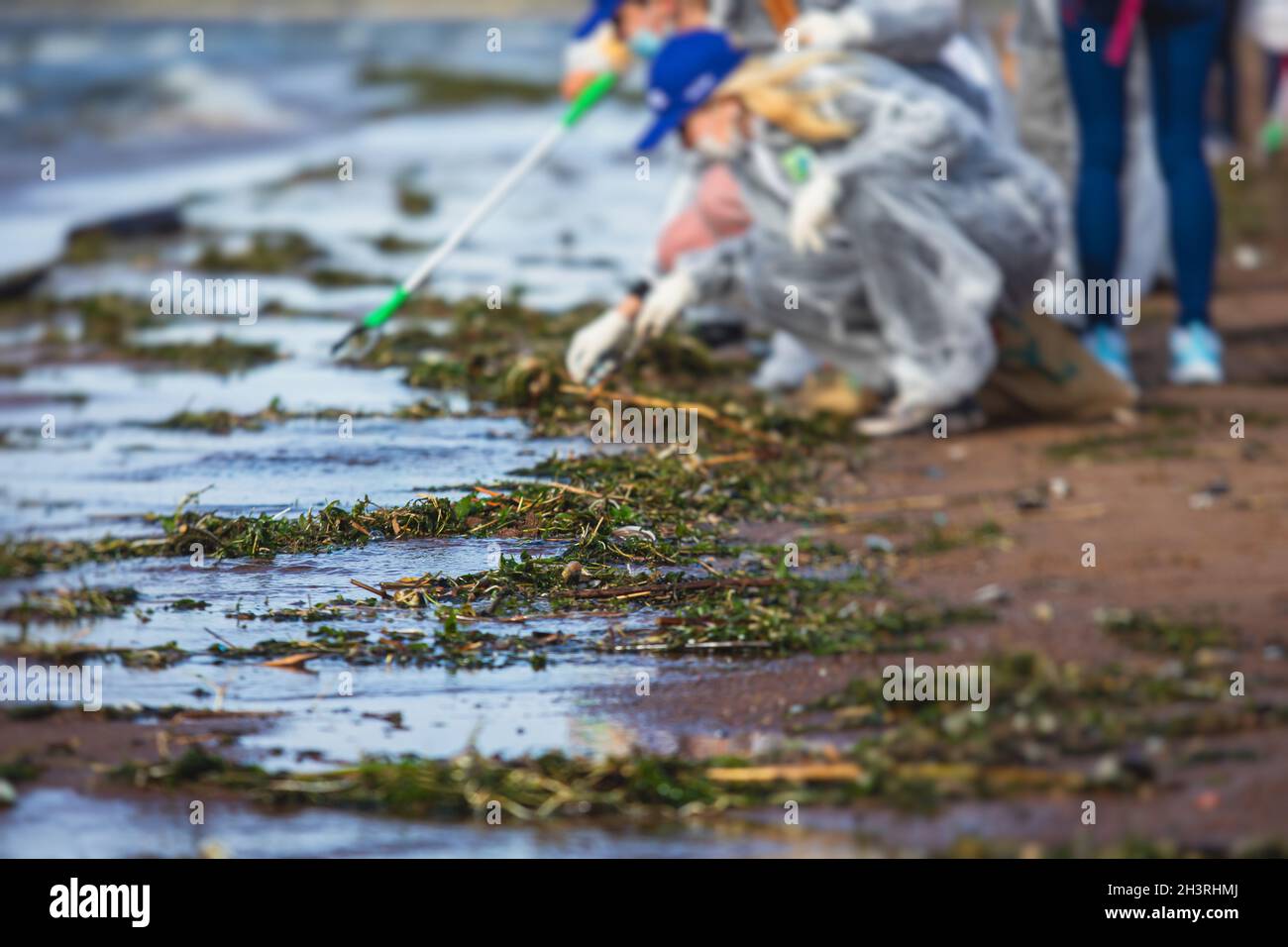 Process of cleaning up the shore beach line from litter garbage rubbish ...
