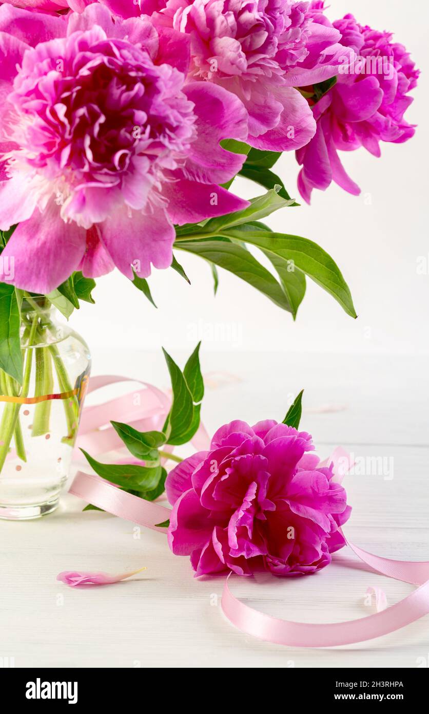 Gorgeous pink peonies close-up Stock Photo - Alamy