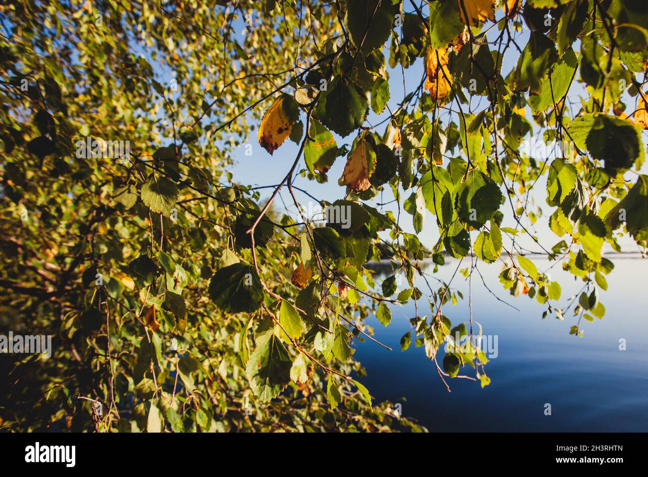 View of Kem River, Kemijoki, in a Liedakkala village in the ...