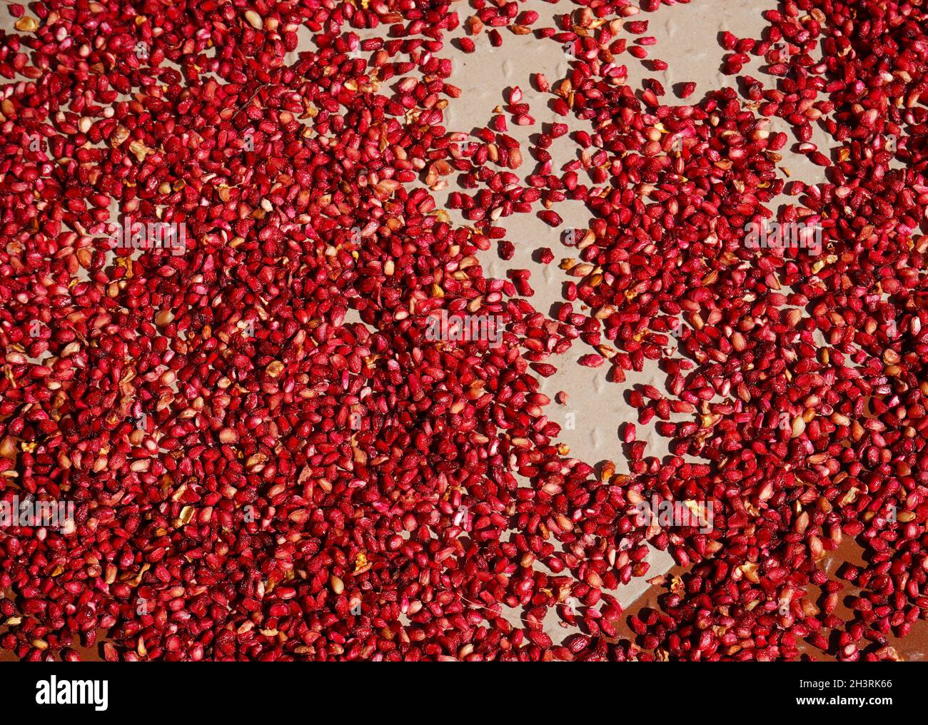 Sun drying seeds hi-res stock photography and images - Alamy