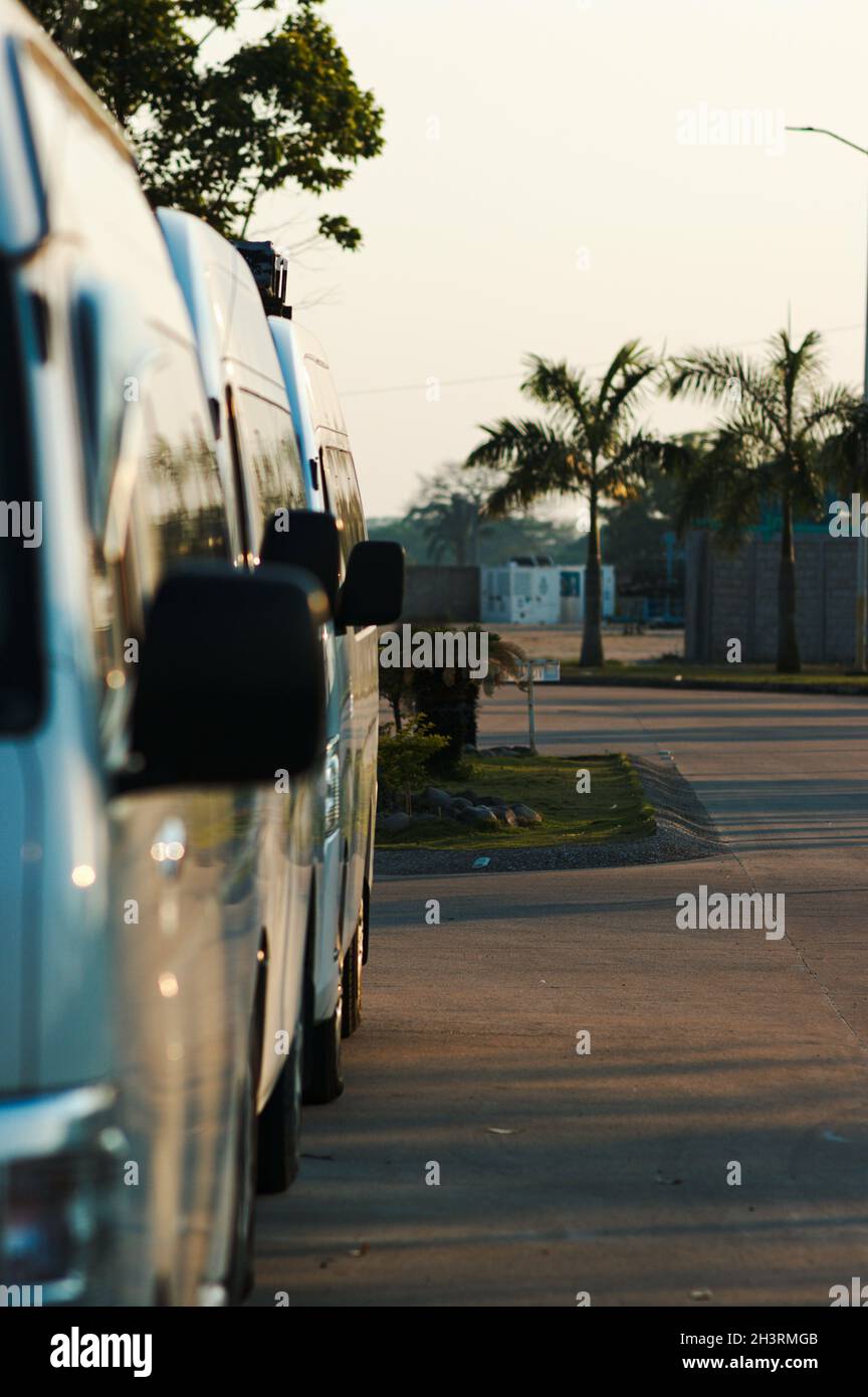 Vertical shot of microbuses line parked outside and a beautiful palms ...