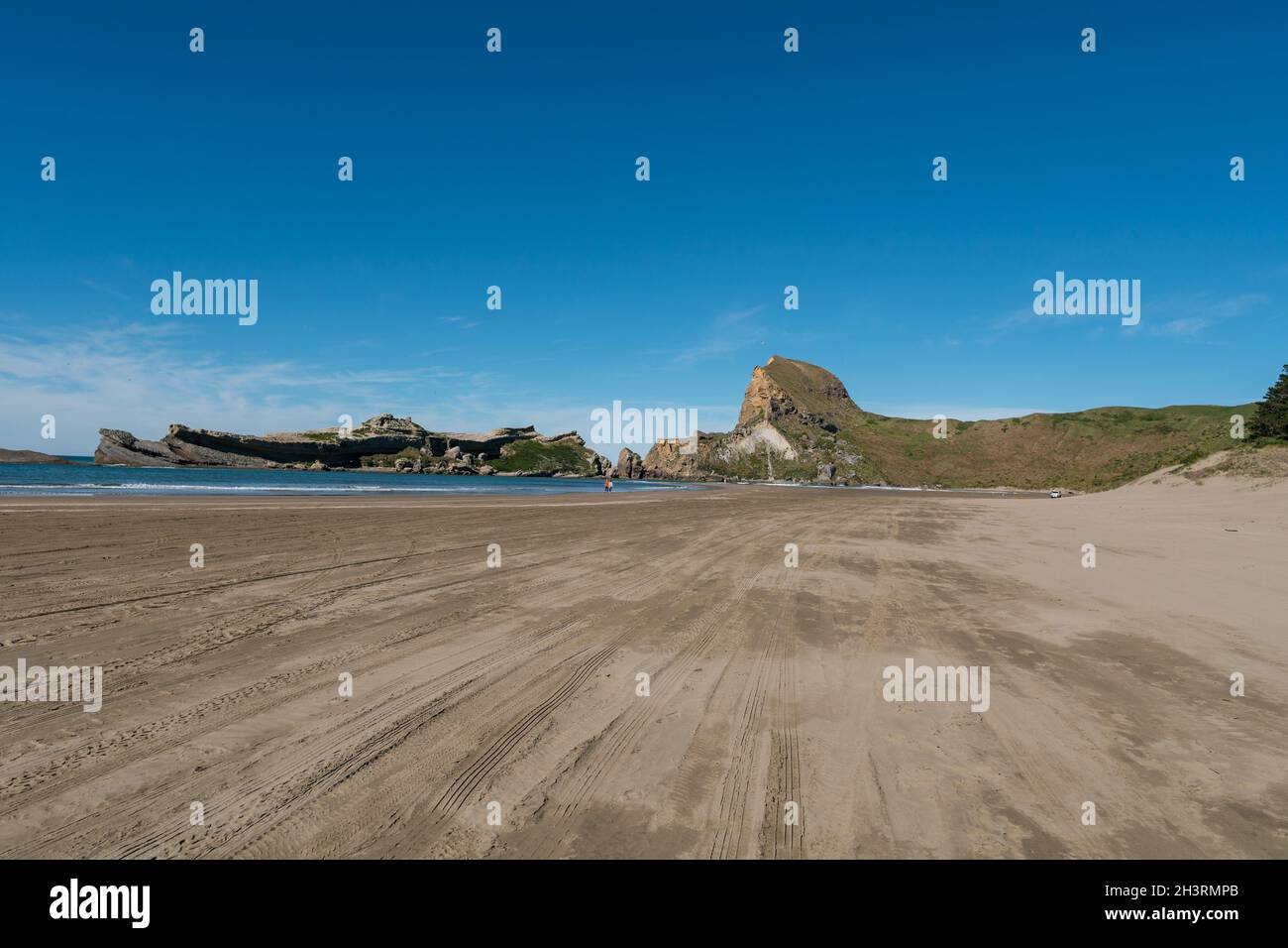 Castle Point track, New Zealand Stock Photo - Alamy