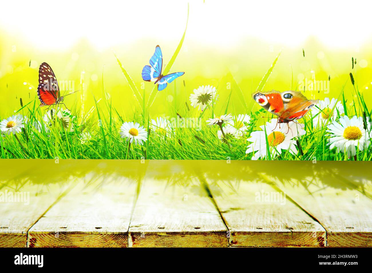 Wooden garden butterfly hi-res stock photography and images - Alamy