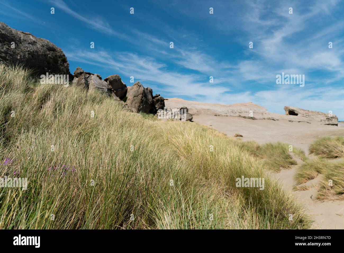 Castle Point track, New Zealand Stock Photo - Alamy