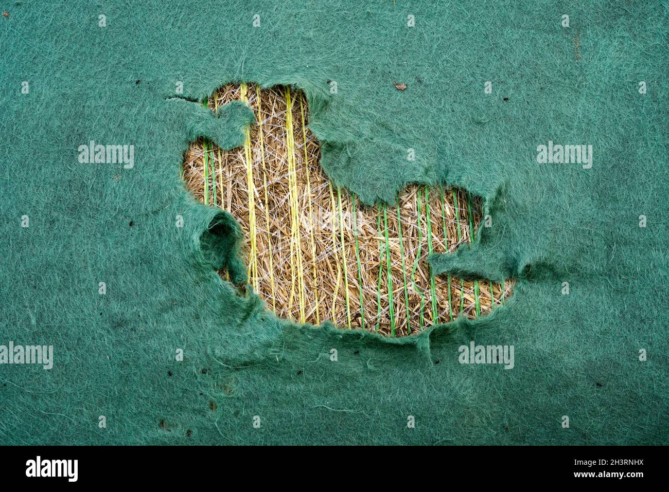 Hay bale covered with torn tarp, Wesertal, Gewissenruh, Weser Uplands ...