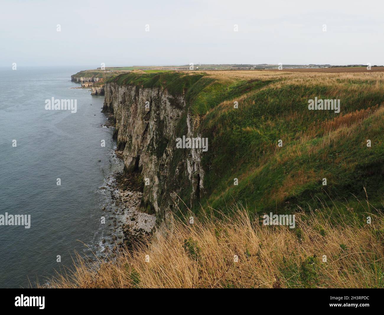 " BEMPTON CLIFFS " , " BIRD " , " SANCTUARY " , " SEASCAPE Stock Photo ...