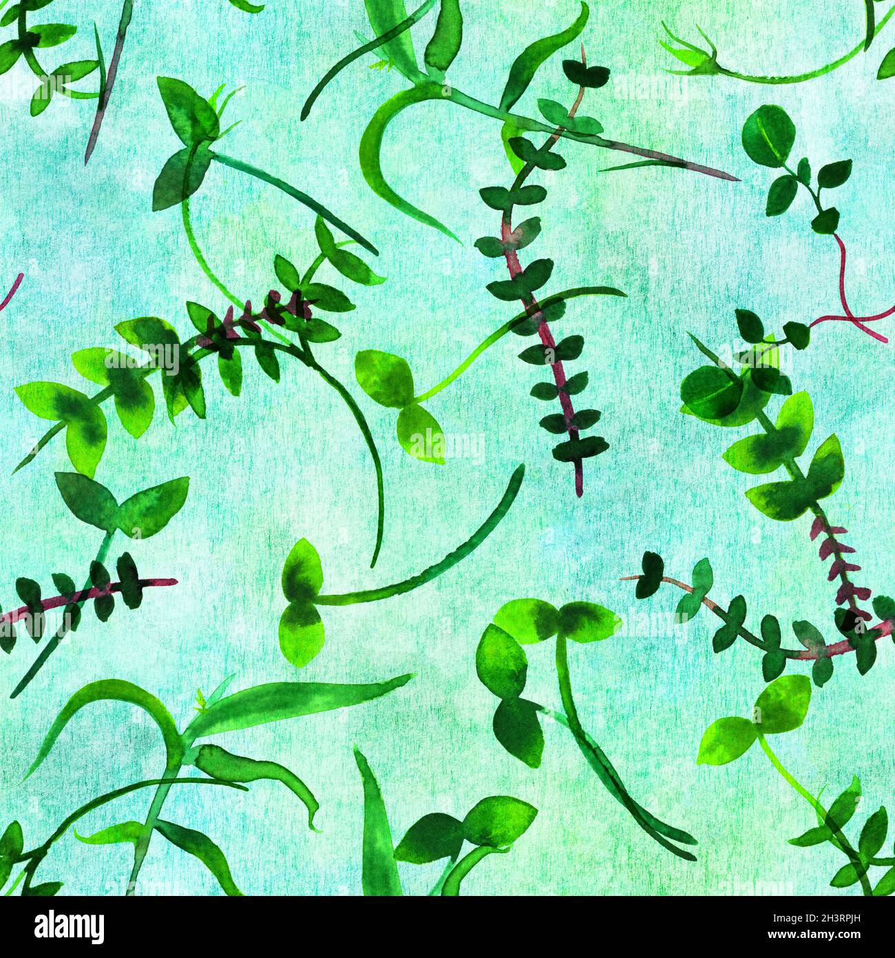 Tangle weeds hi-res stock photography and images - Alamy