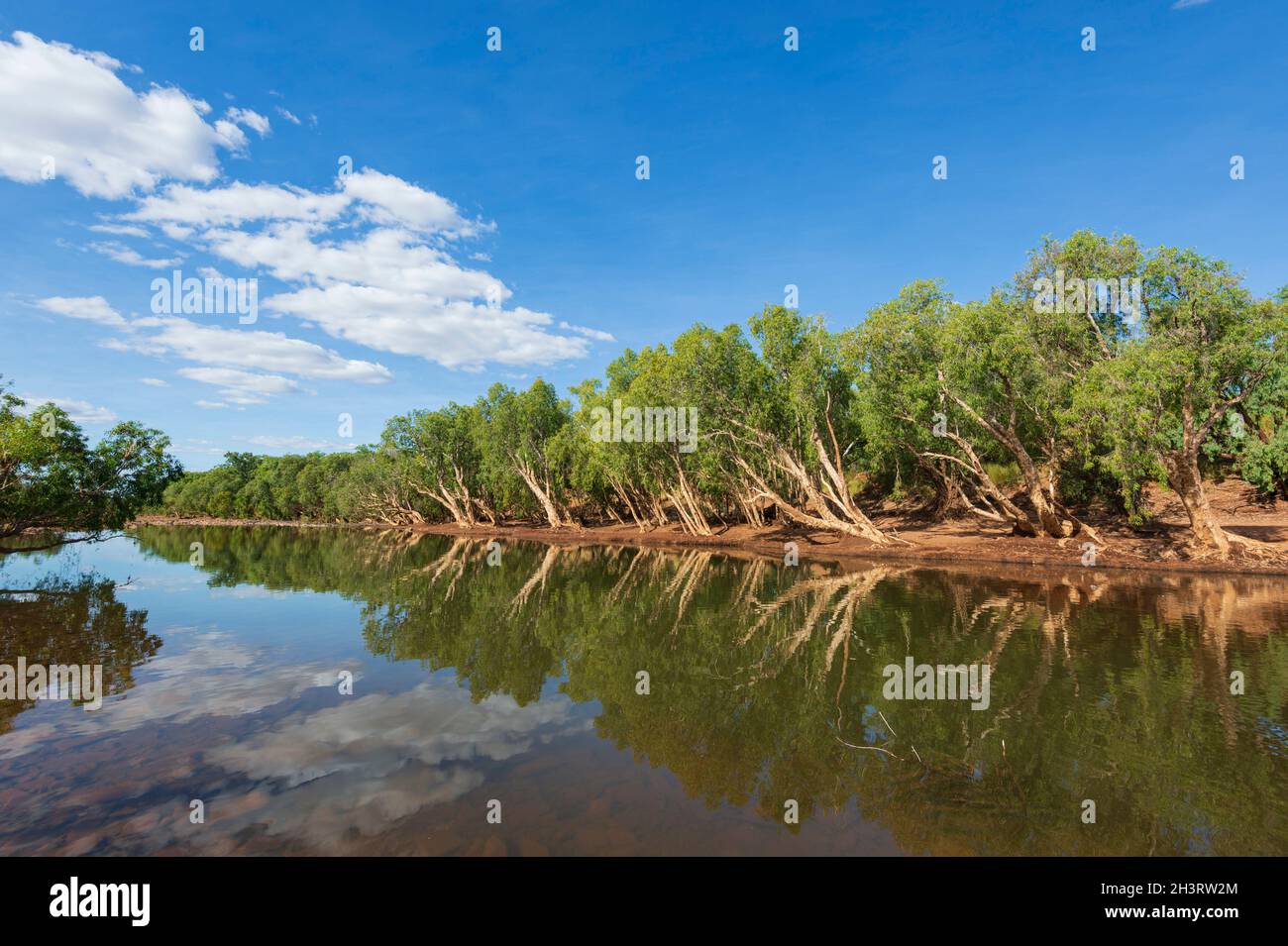 Trees reflected in the water along the remote Buchanan Highway ...