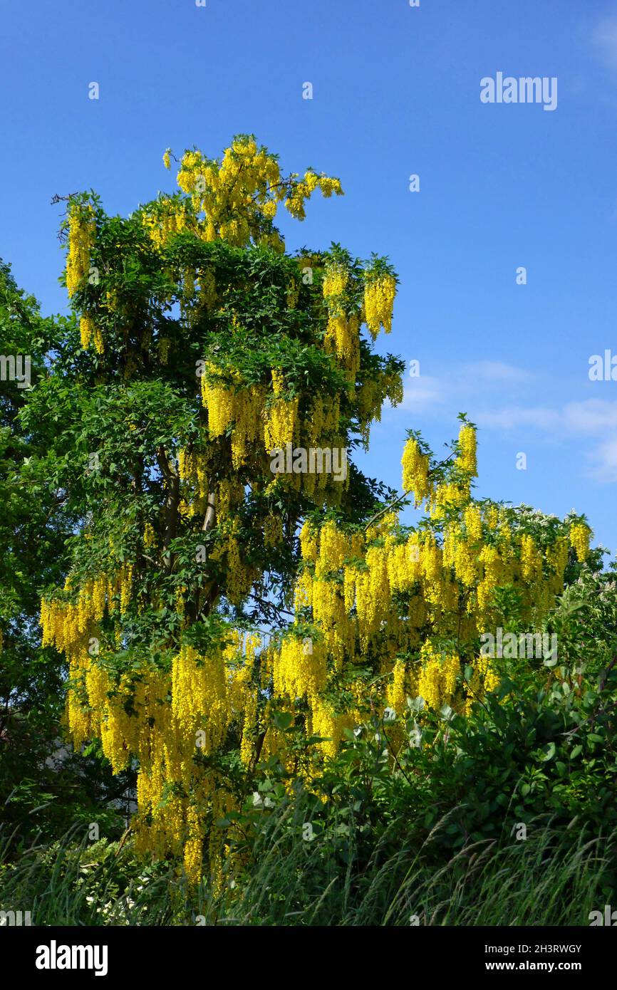 Ga tribe hi-res stock photography and images - Alamy