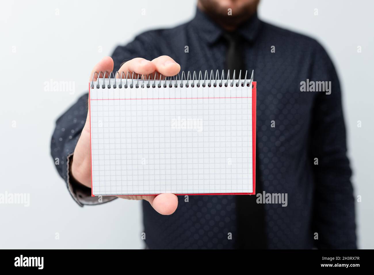 Presenting New Plan Ideas Demonstrating Planning Process Introducing ...