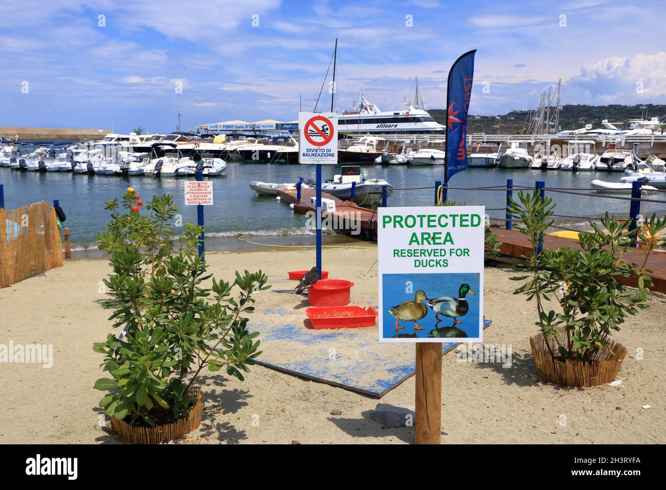 Forio panorama hi-res stock photography and images - Alamy