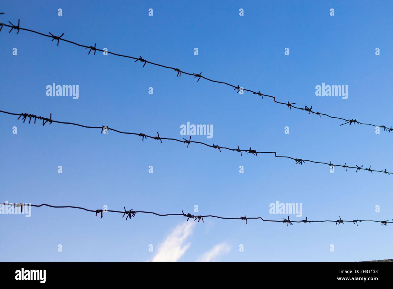 Barbed wire fence on blue sky background. Dangerous area Stock Photo ...
