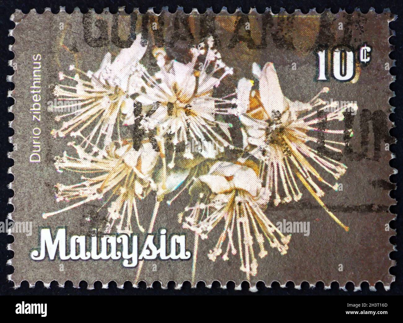 MALAYSIA - CIRCA 1979: a stamp printed in Malaysia shows durian, durio ...