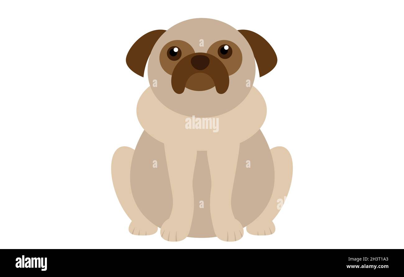Pug dog cartoon illustration. Flat design isolated on white background ...