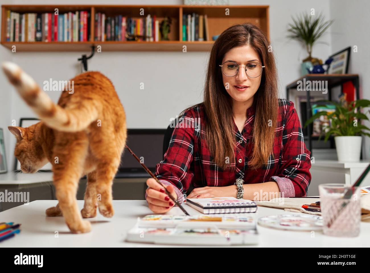 Illustrator woman working in the home office with her cat on the desk ...