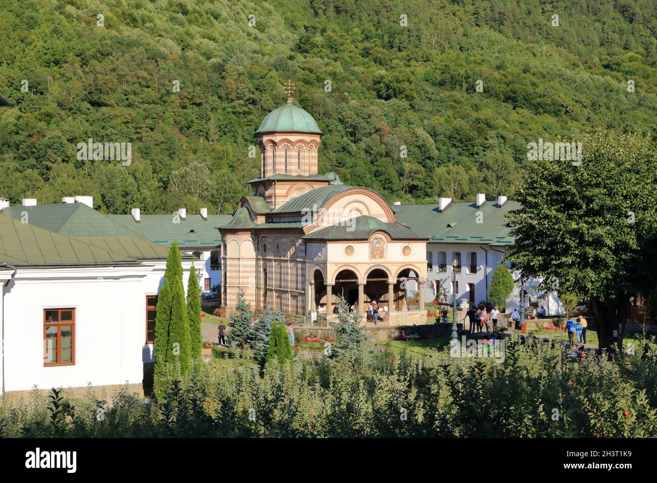 Romania cozia national park hi-res stock photography and images - Alamy