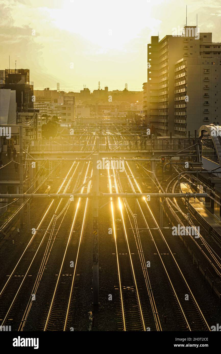 Image of the evening skyline and the line Stock Photo - Alamy