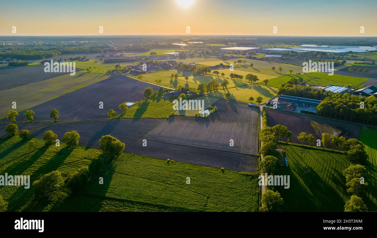Aerial view with a drone of a spring wavy agricultural countryside ...