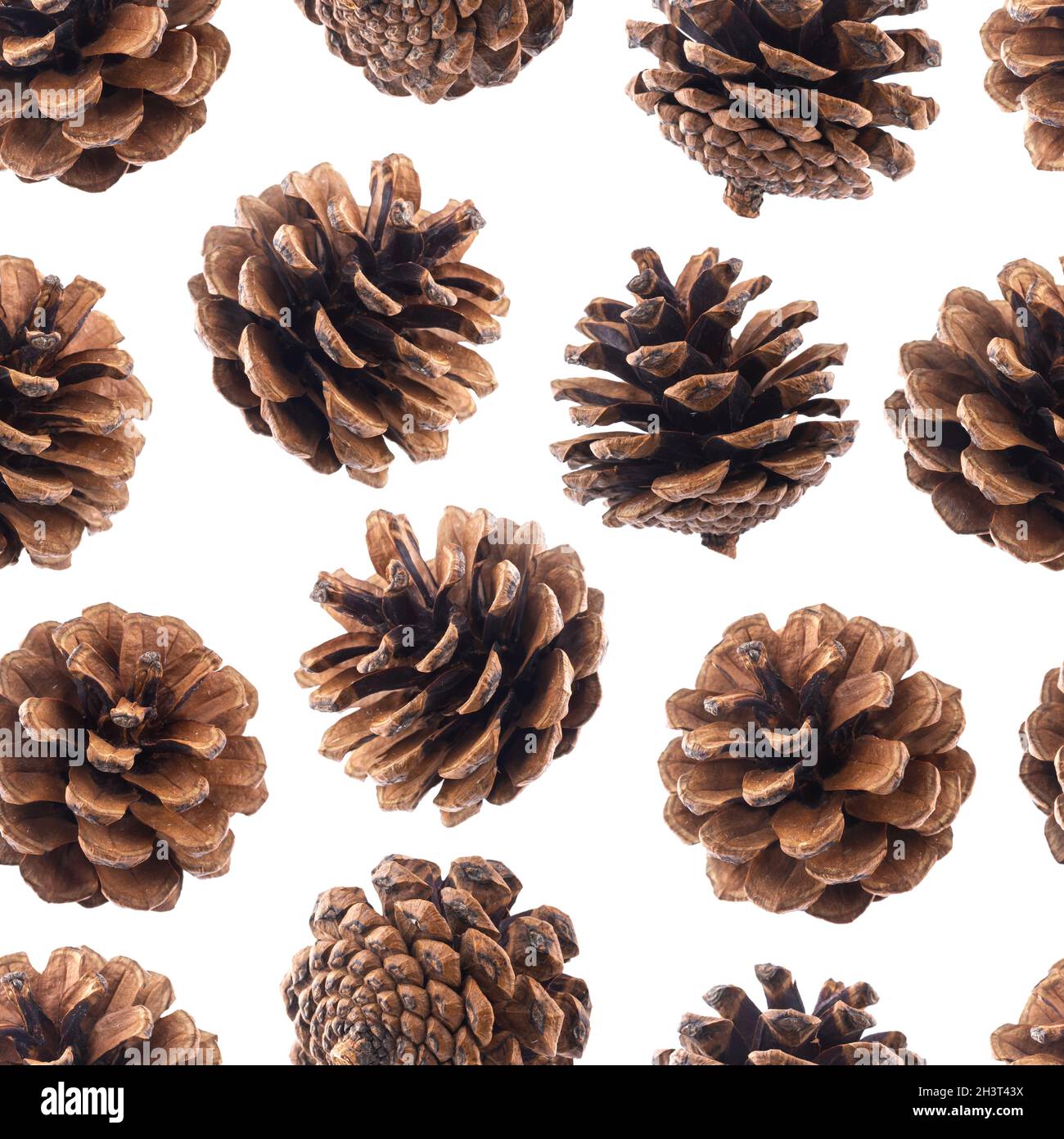 Pinecone pattern hi-res stock photography and images - Alamy
