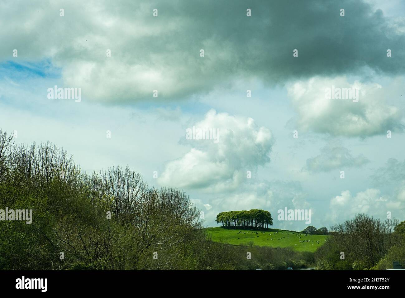 Nearly there trees hi-res stock photography and images - Alamy