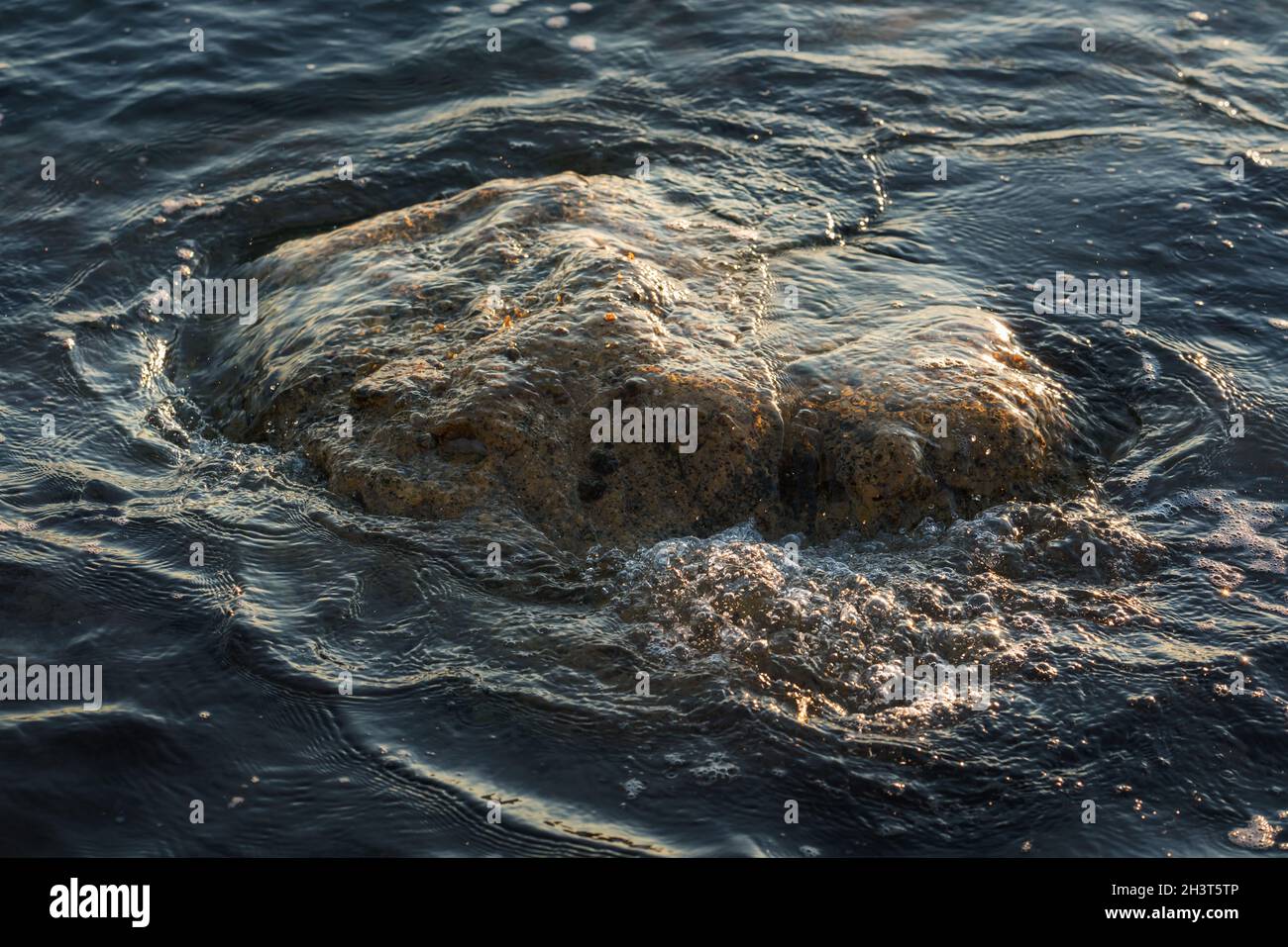 Single rock and ocean hi-res stock photography and images - Alamy