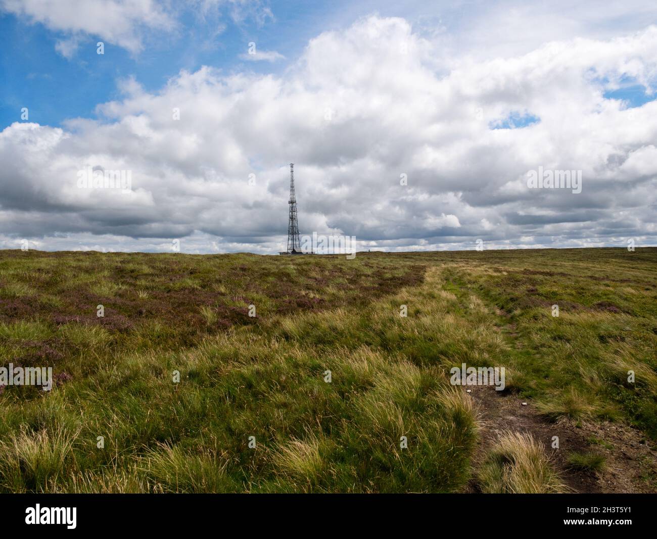 Radnorshire forest hi-res stock photography and images - Alamy