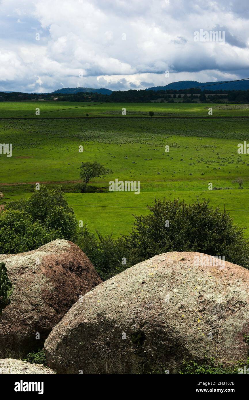 Vertical shot of a beautiful landscape in a big green land field and ...