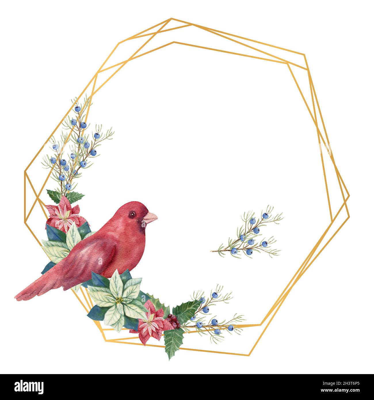 Robin with berry Cut Out Stock Images & Pictures - Alamy