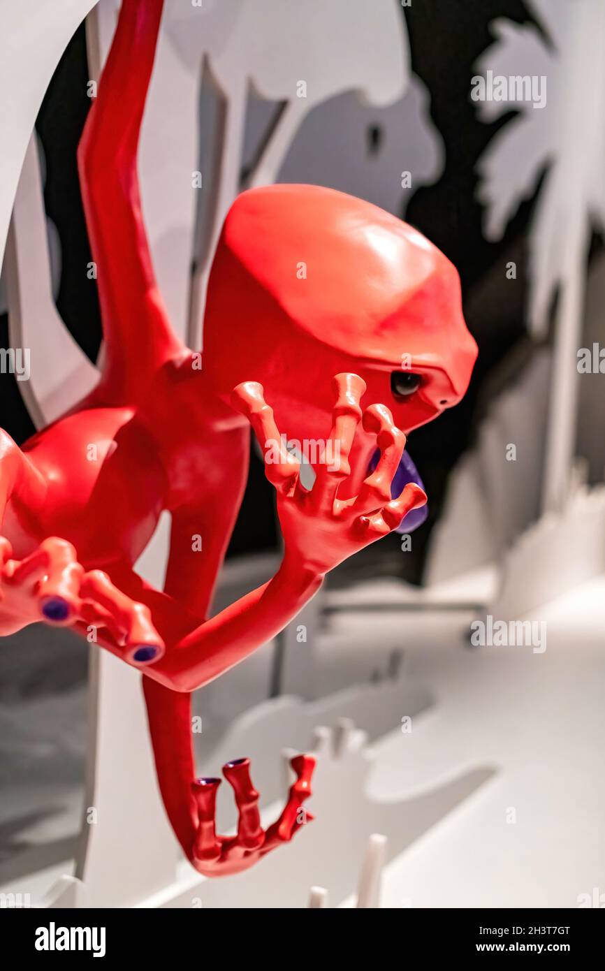 Yara ma yha who hi-res stock photography and images - Alamy